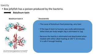 Box jellyfish toxicity | PPTX