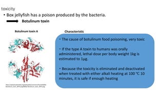 Box jellyfish toxicity | PPTX | Zoos & Aquariums | Attractions