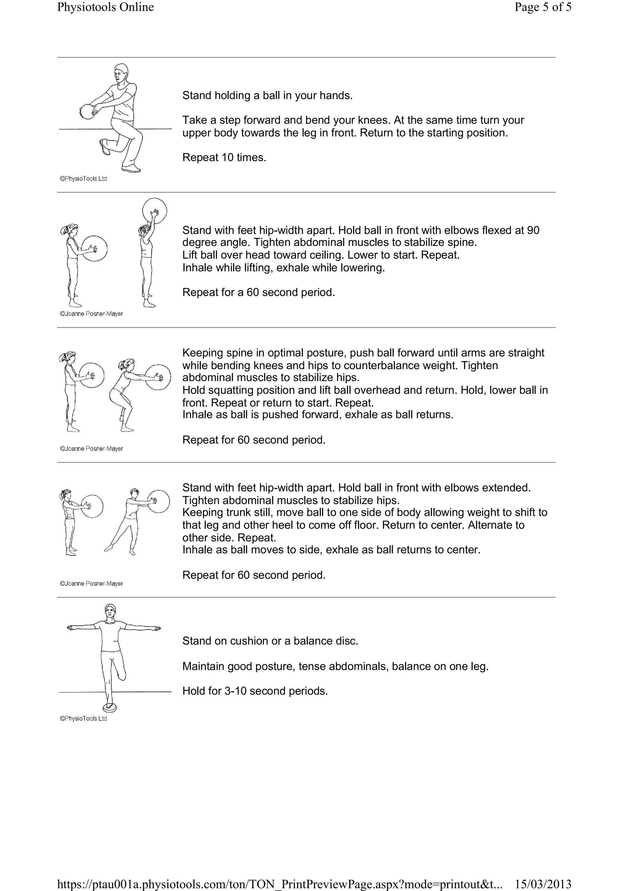 Lumbar Stabilisation | PDF