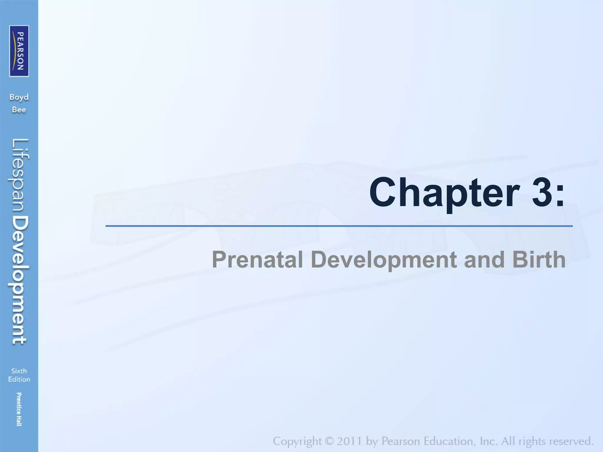 Bee & Boyd, Lifespan Development, Chapter 3 | PPT