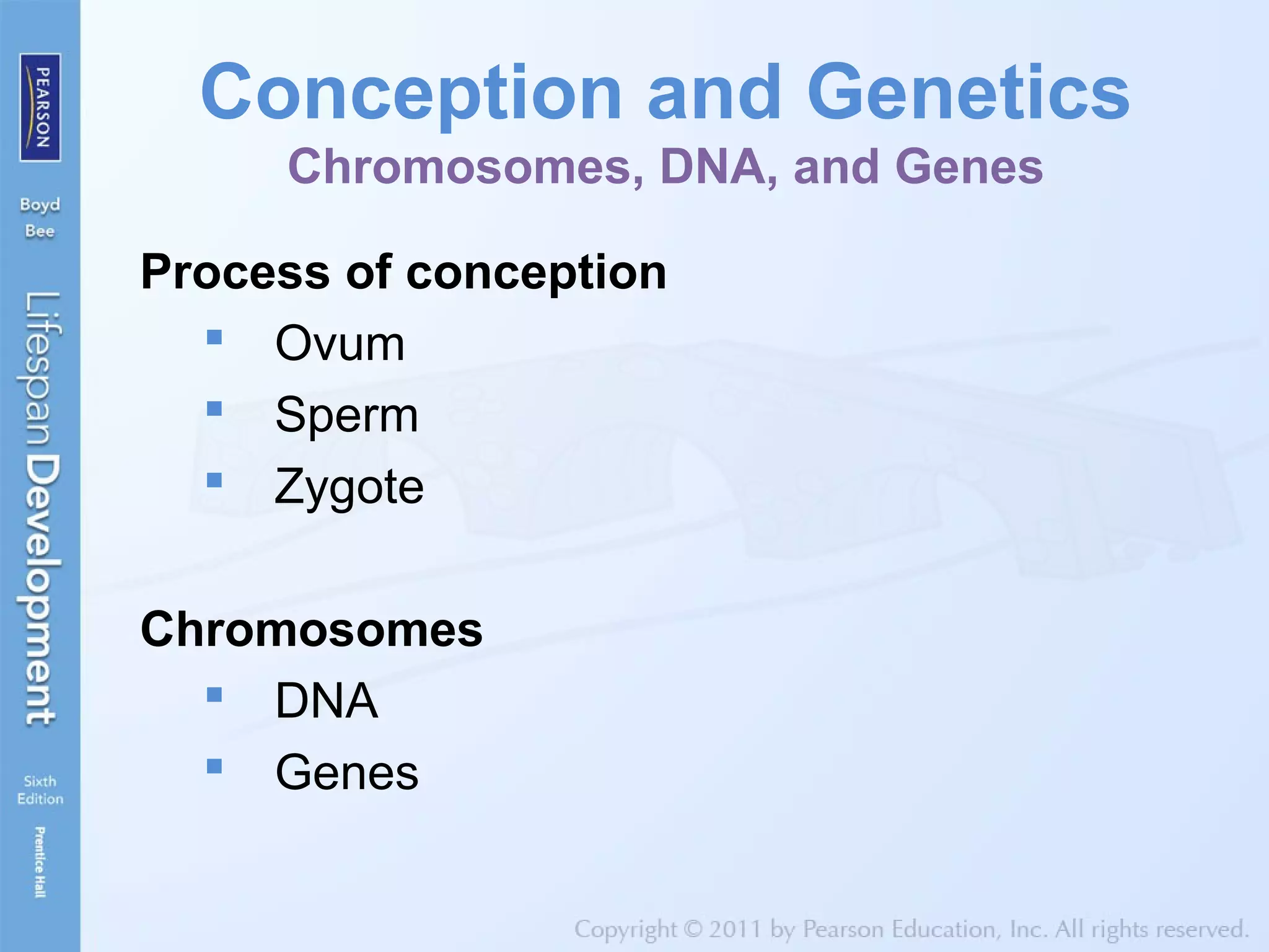 Bee & Boyd, Lifespan Development, Chapter 3 | PPT