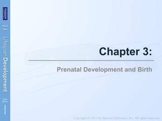 Bee & Boyd, Lifespan Development, Chapter 3 | PPT