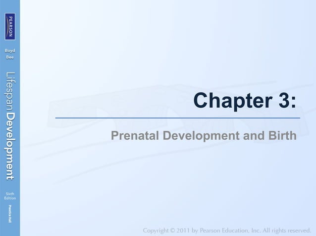 Bee & Boyd, Lifespan Development, Chapter 3 | PPT