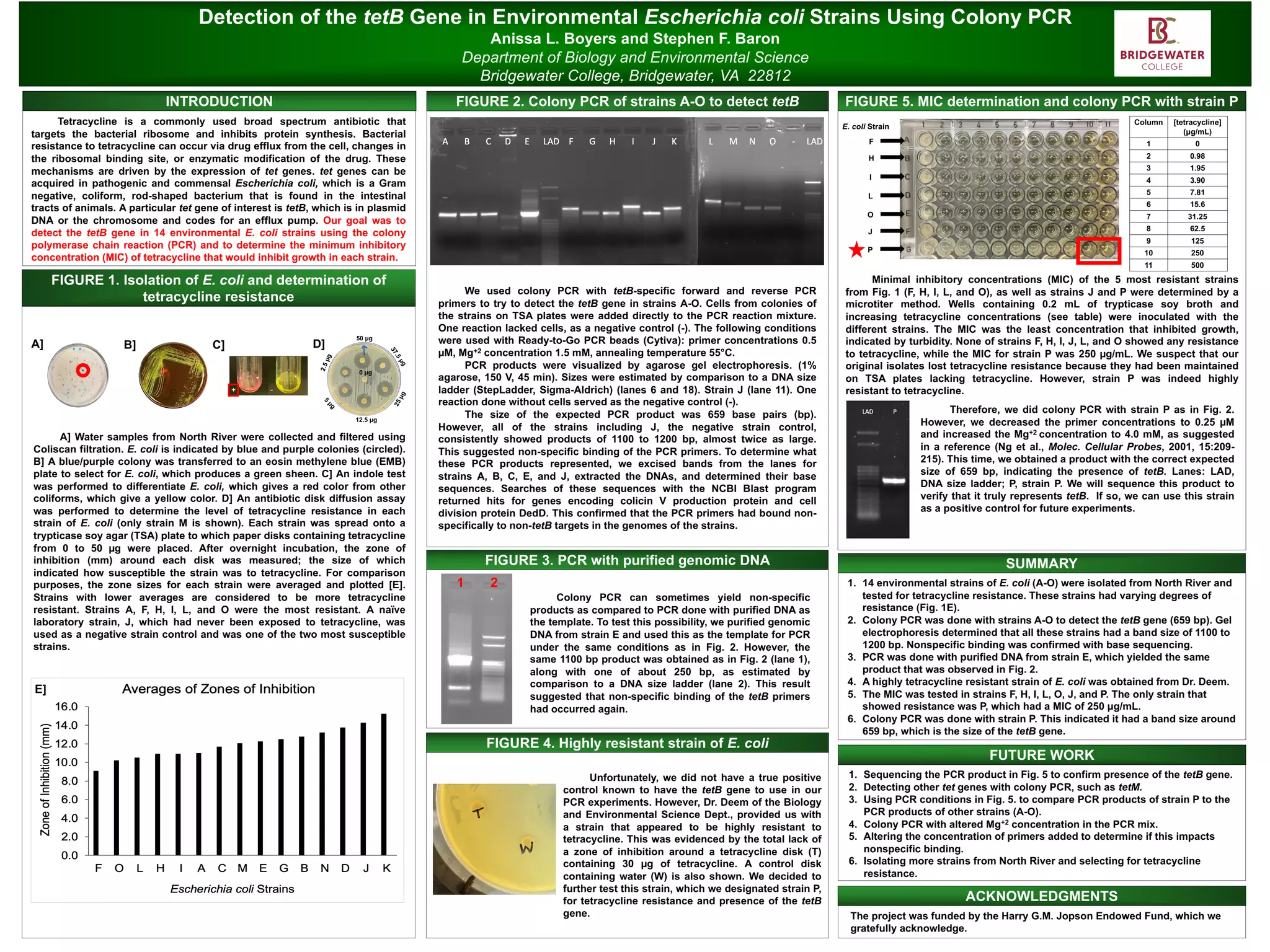Detection of tetB Gene in Environmental Escherichia coli Strains Using ...
