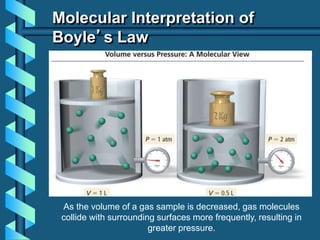 BOYLE'S LAW.ppt