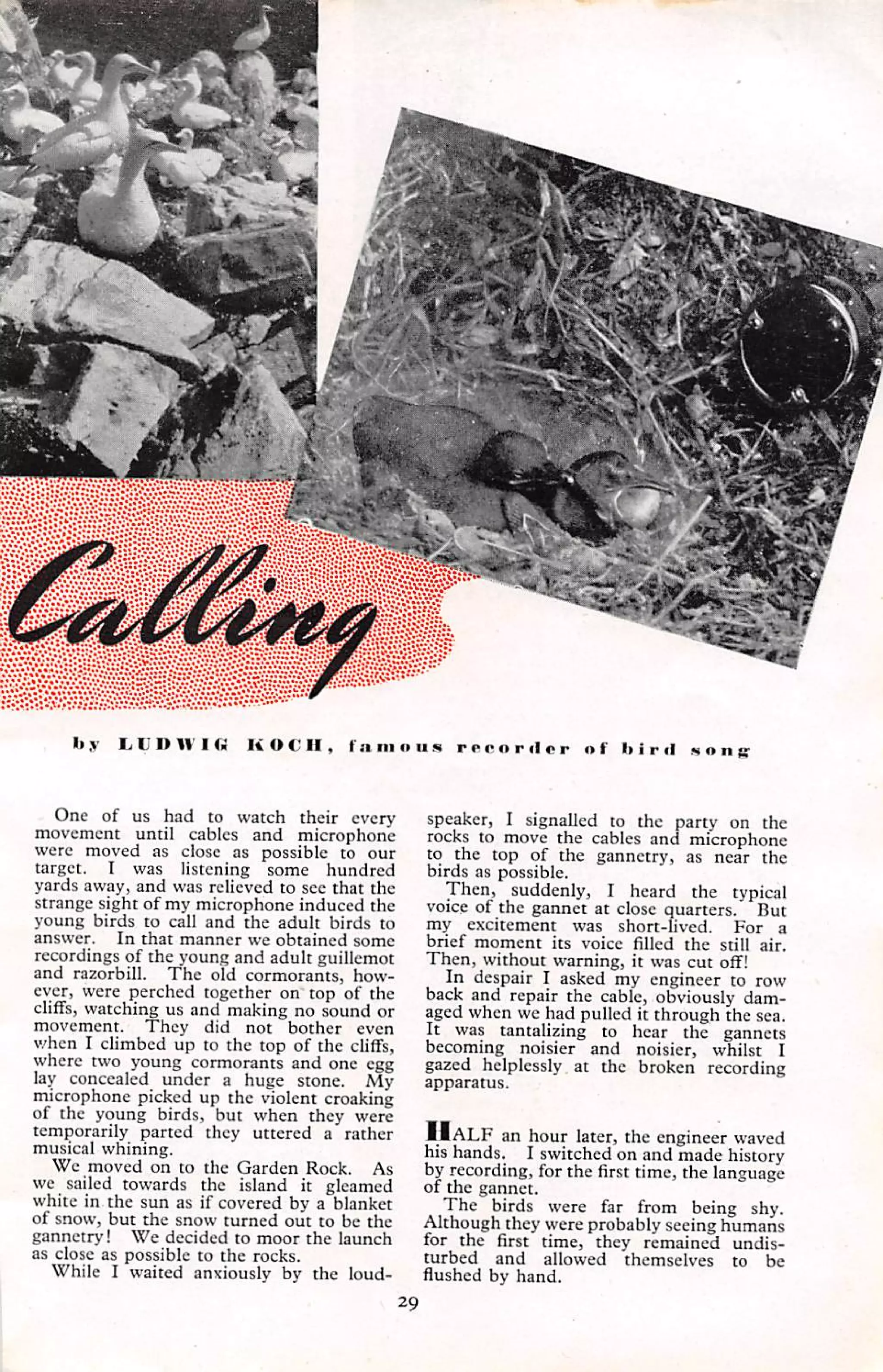 Boys Own Paper December 1948 | PDF