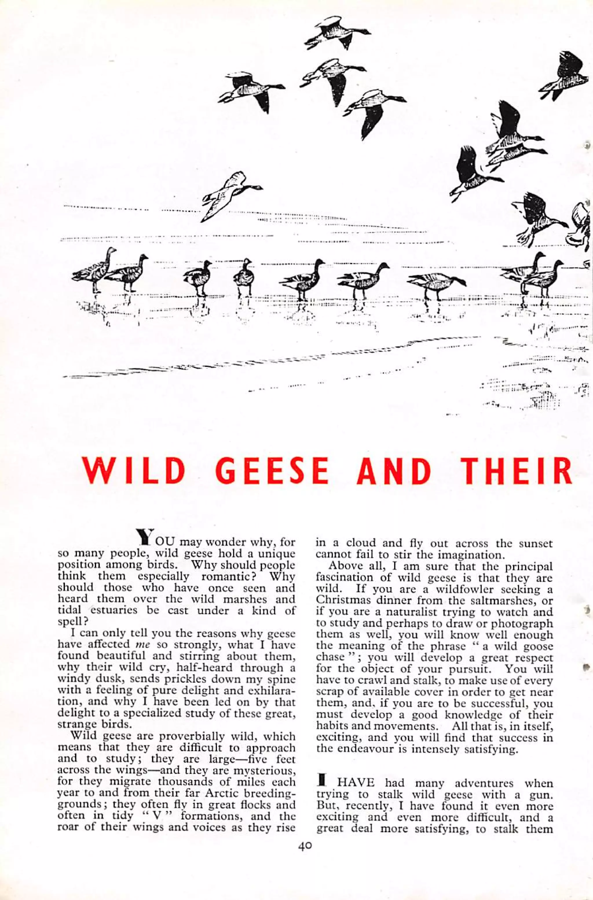 Boys Own Paper December 1948 | PDF