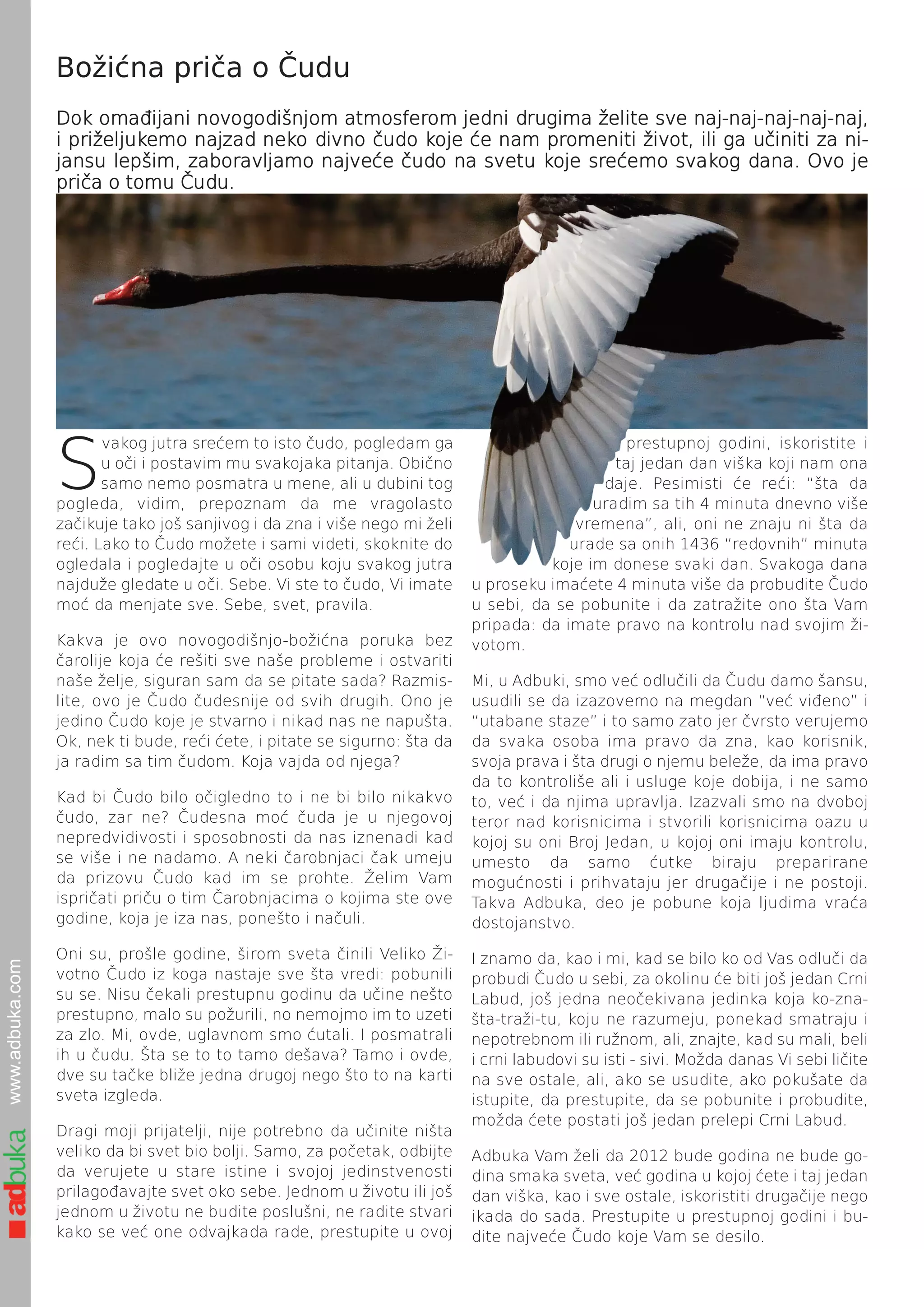 Bozicna prica o cudu | PDF