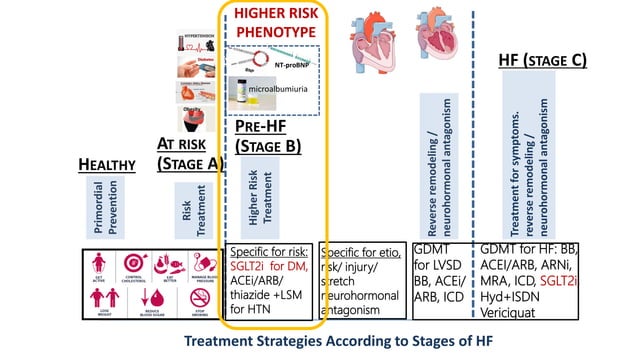 Update in HF Definition and Classification: Universal Definition and ...