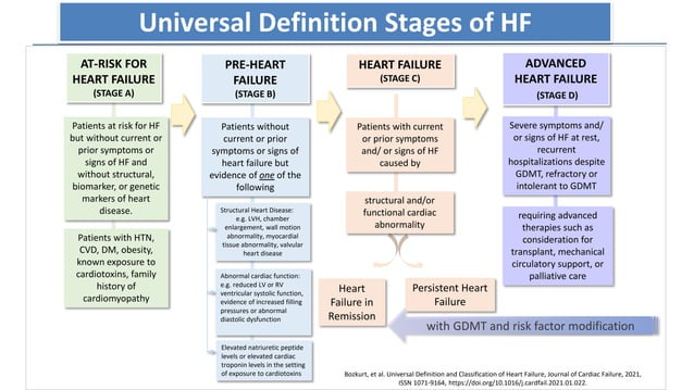 Update in HF Definition and Classification: Universal Definition and ...