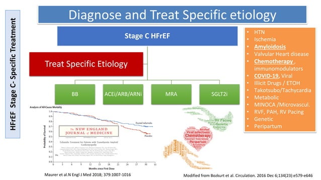 Update in HF Definition and Classification: Universal Definition and ...