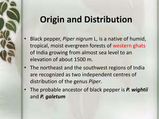 Black Pepper Varietal wealth in India | PPTX