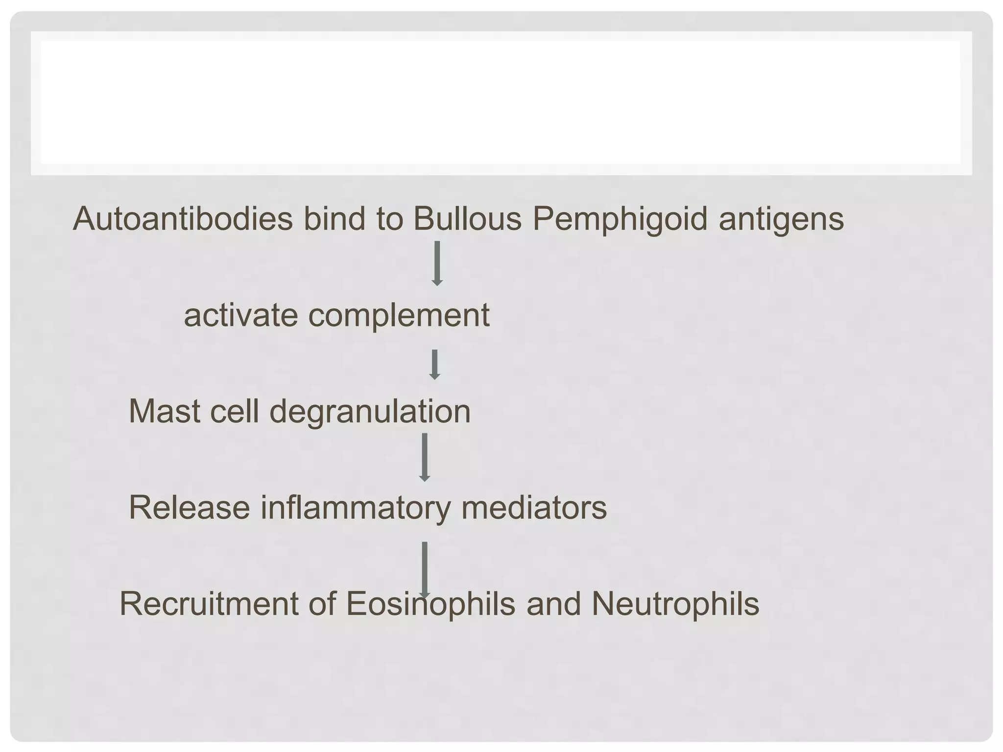 Bullous pemphigoid , dermatitis herpitiformis and cbdc | PPTX