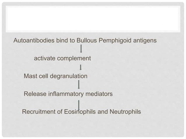 Bullous pemphigoid , dermatitis herpitiformis and cbdc | PPTX | Skin ...