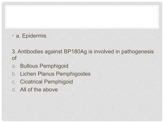 Bullous pemphigoid , dermatitis herpitiformis and cbdc | PPTX