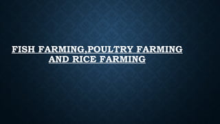 FISH FARMING,POULTRY FARMING AND RICE FARMING | PPTX