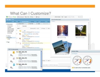BP-9 Share Customization Best Practices | PPT