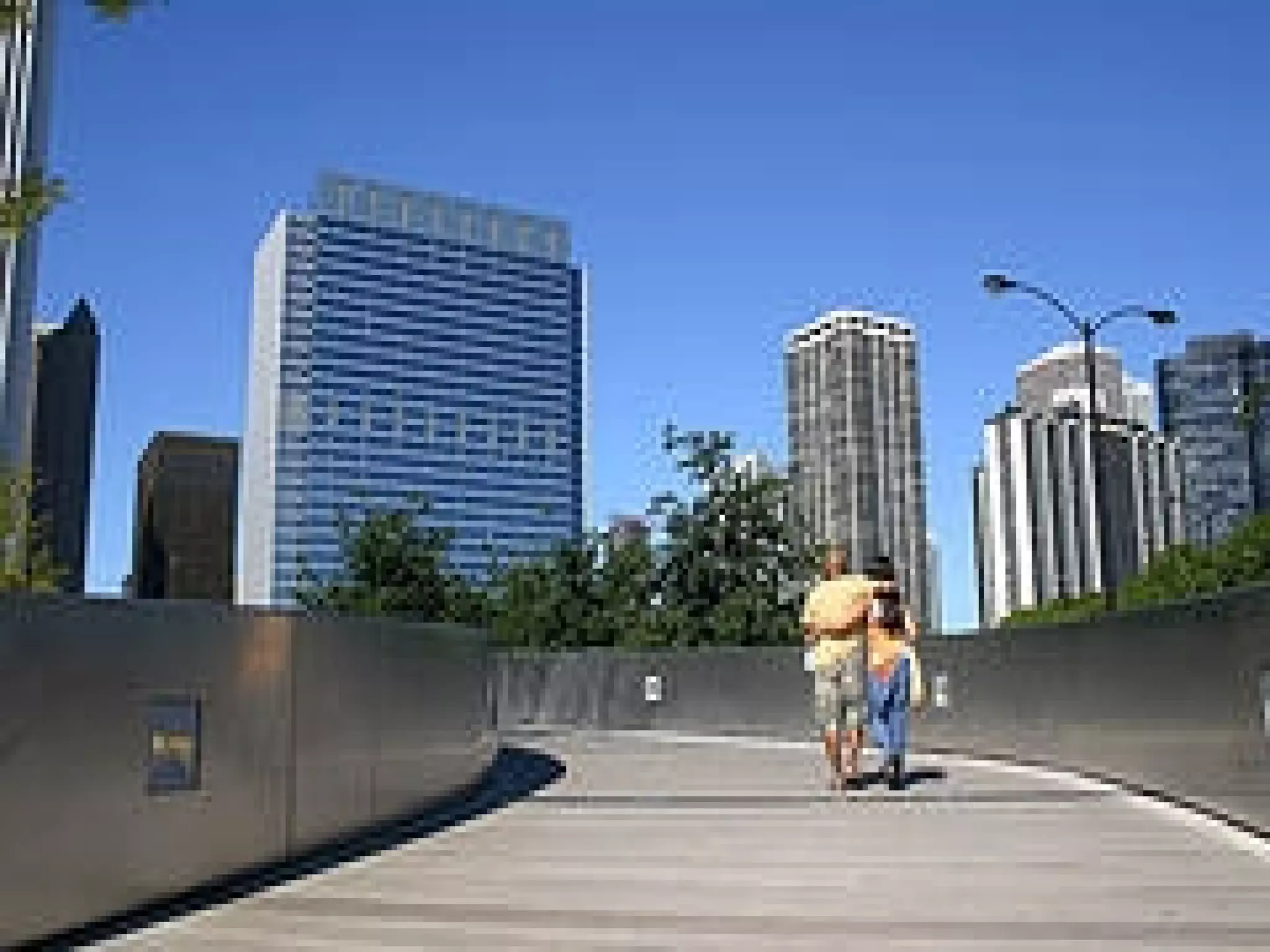 Bp Bridge Millennium Park | PPT