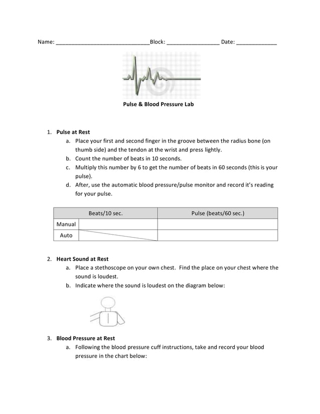 Bp pulse-lab | PDF