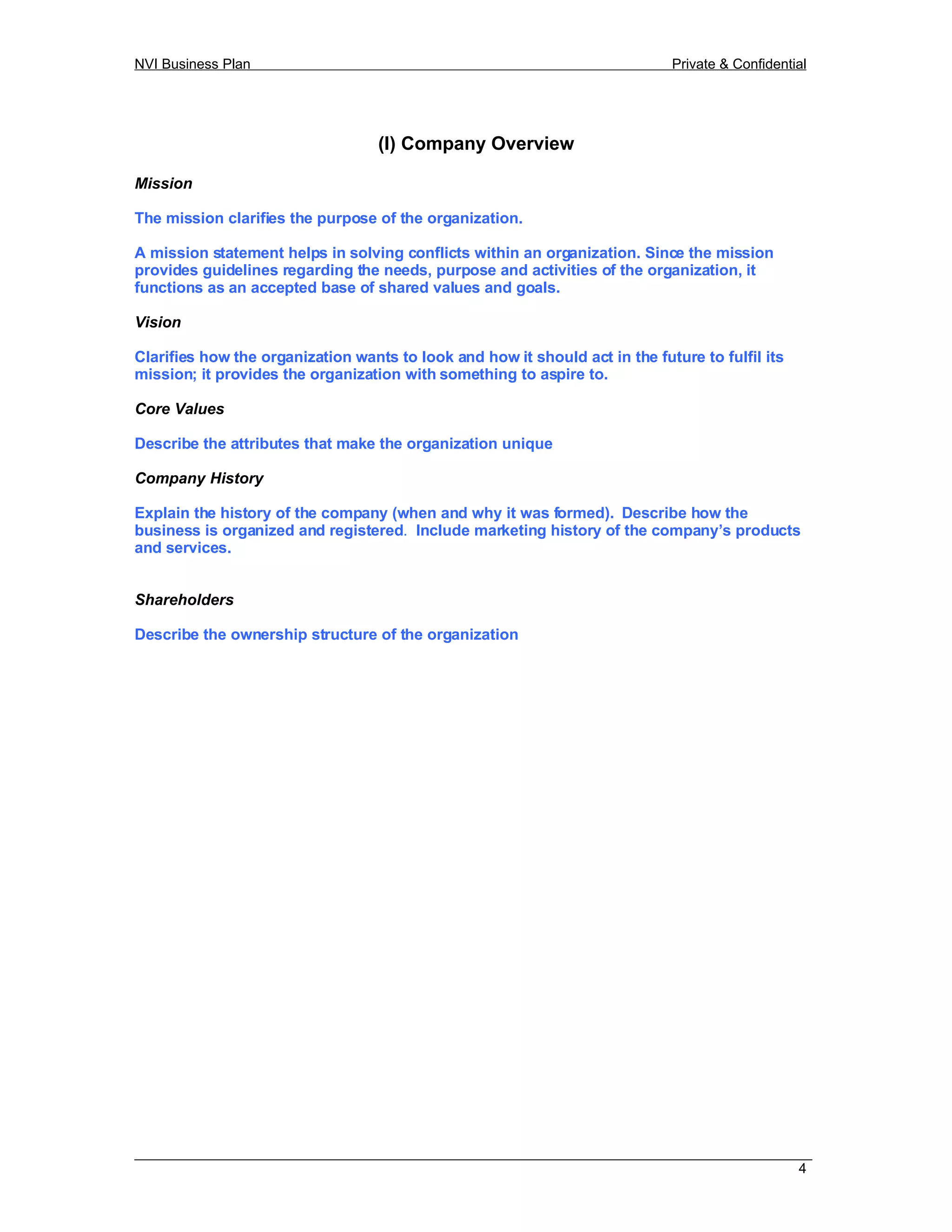 Bp Template Nvi Guide | DOC | Business Accounting & Finance | Business