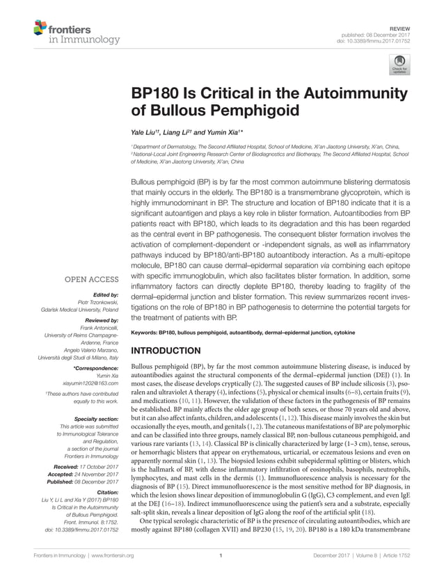 BP180 is critical in autoimmunity of BP.pdf