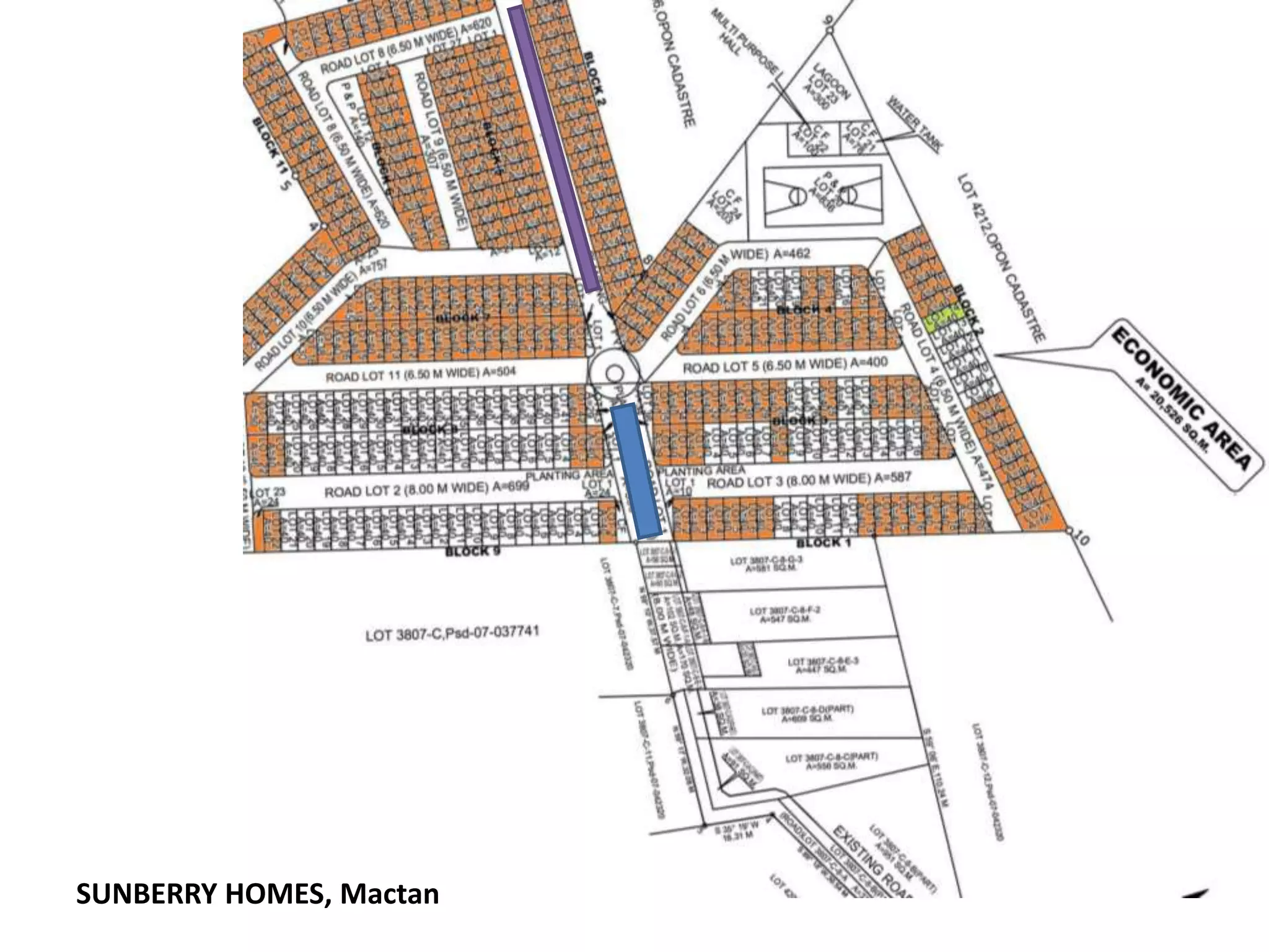 Economic and Socialized Housing BP 220 (02) | PPTX