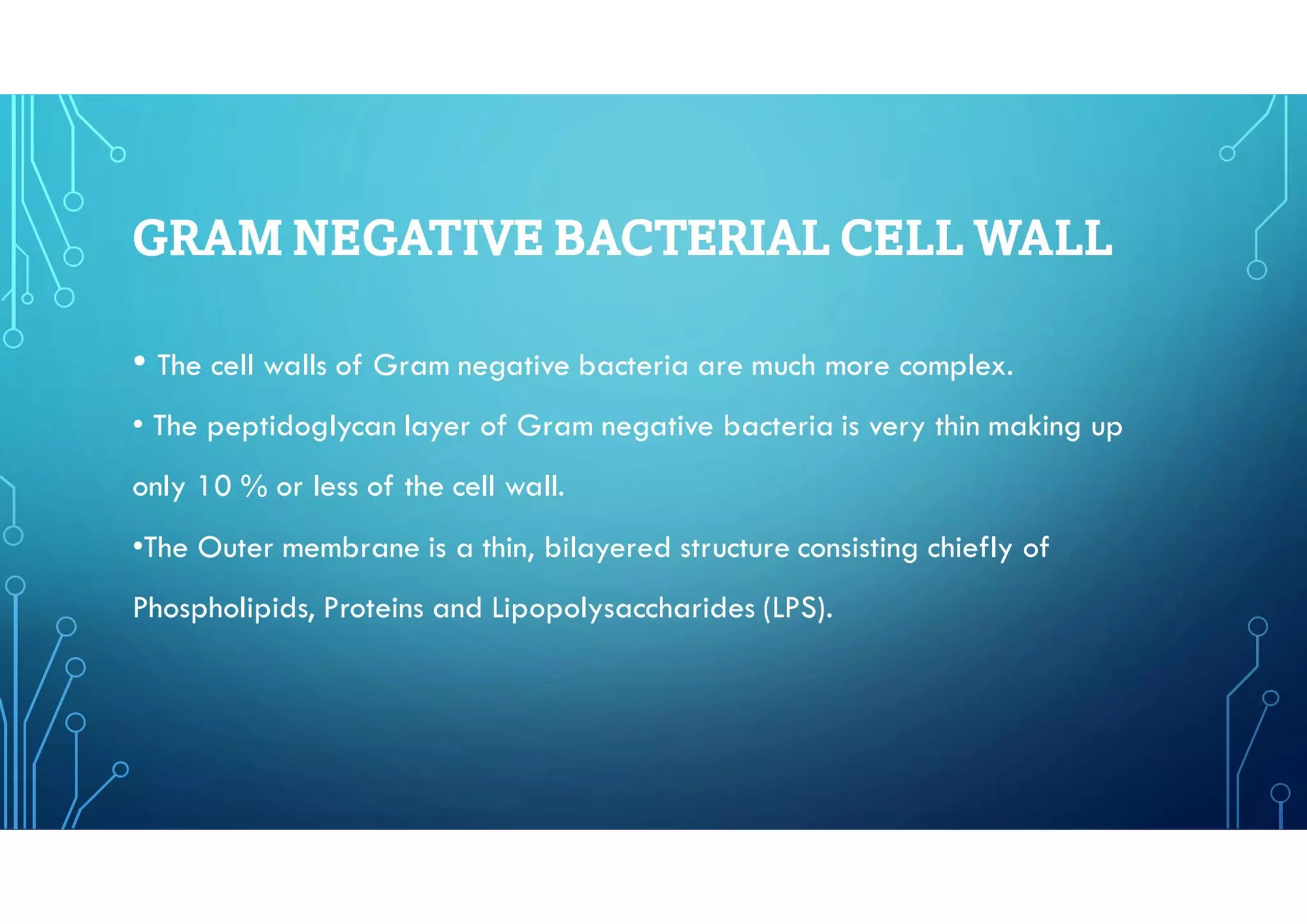 Bacteria cell wall | PDF