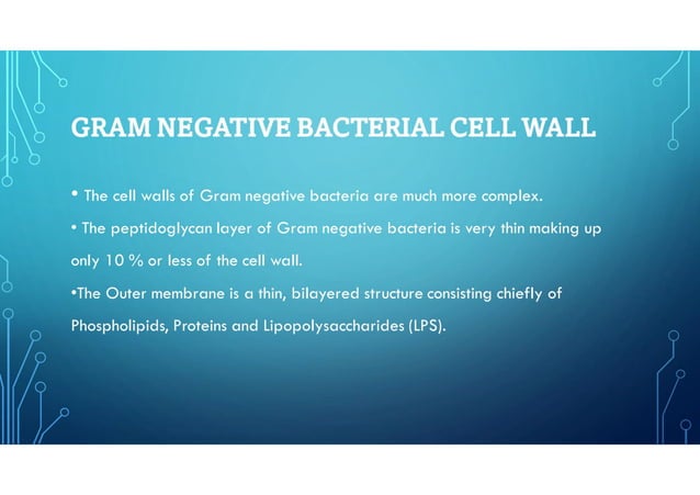 Bacteria cell wall | PDF