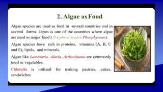 Economical Importance Of Algae | PPT