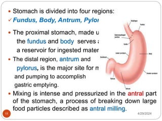 GI anatomy and physiology of factor affecting .pptx