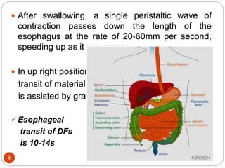 GI anatomy and physiology of factor affecting .pptx
