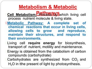 BP503TP (1).ppt