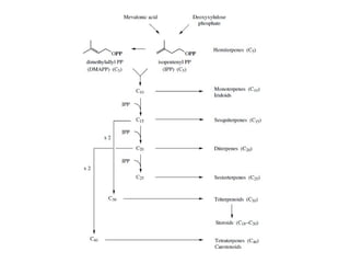 BP503TP Unit 1 Basic metabolic pathways.pptx