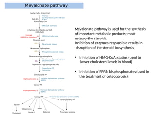 BP503TP Unit 1 Basic metabolic pathways.pptx