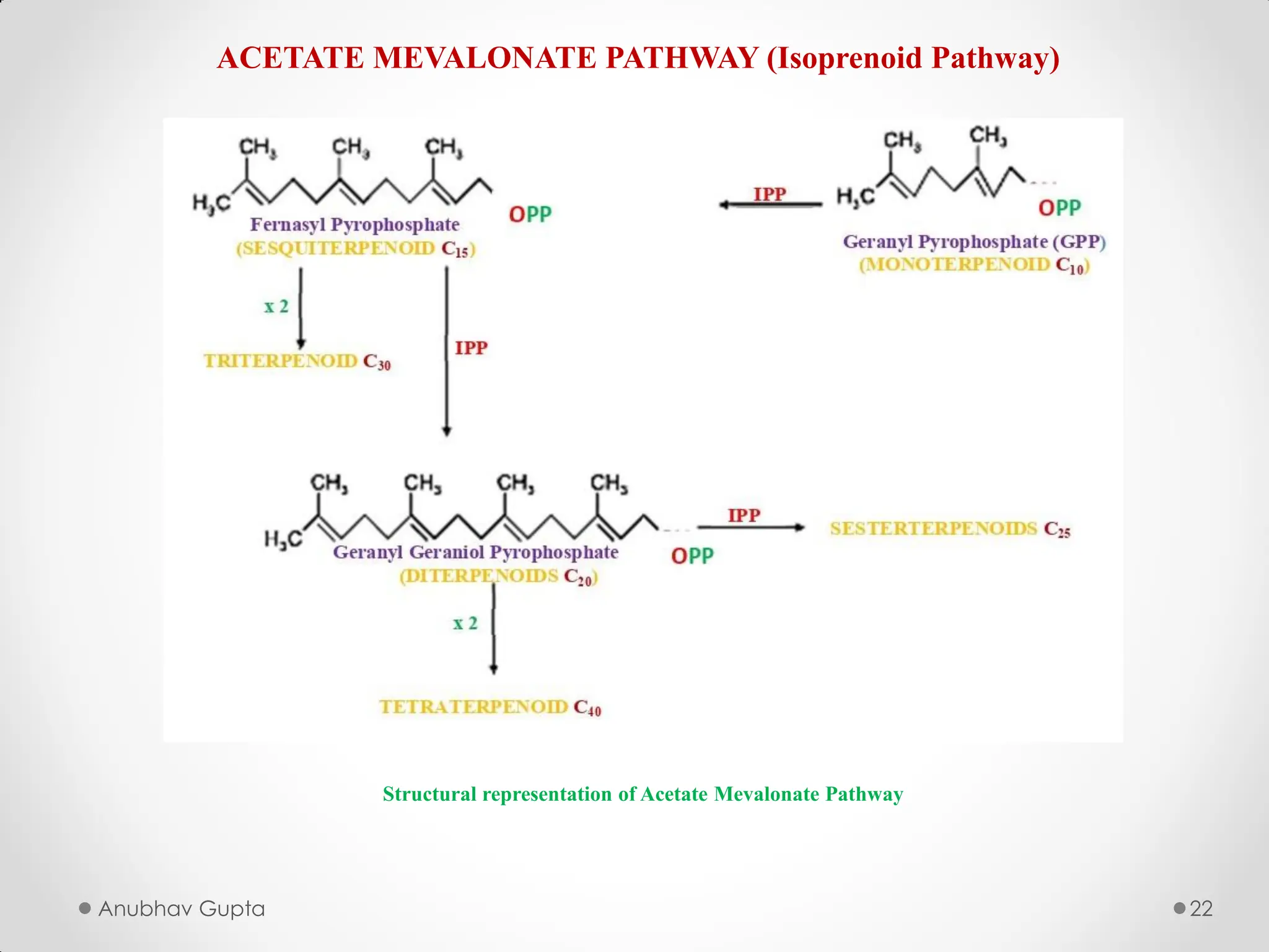 Pharmacognosy BP504T UNIT 01 PART 1 Metabolic Pathways in Higher Plants ...