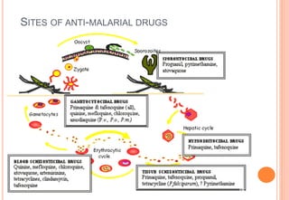 medicinal chemistry Antimalarial drugs 1.pptx