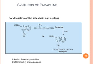 Medicinal Chemistry Antimalarial drugs 3.pptx