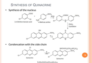 Medicinal Chemistry Antimalarial drugs 3.pptx