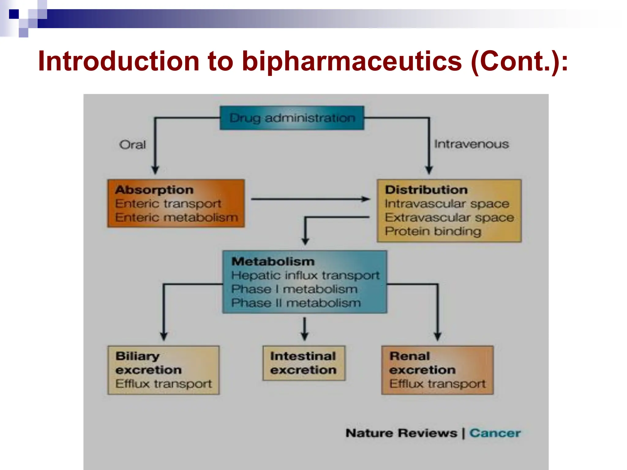 biopharmaceuticsand pharmacokinetics ppt | PDF | Chemistry | Science