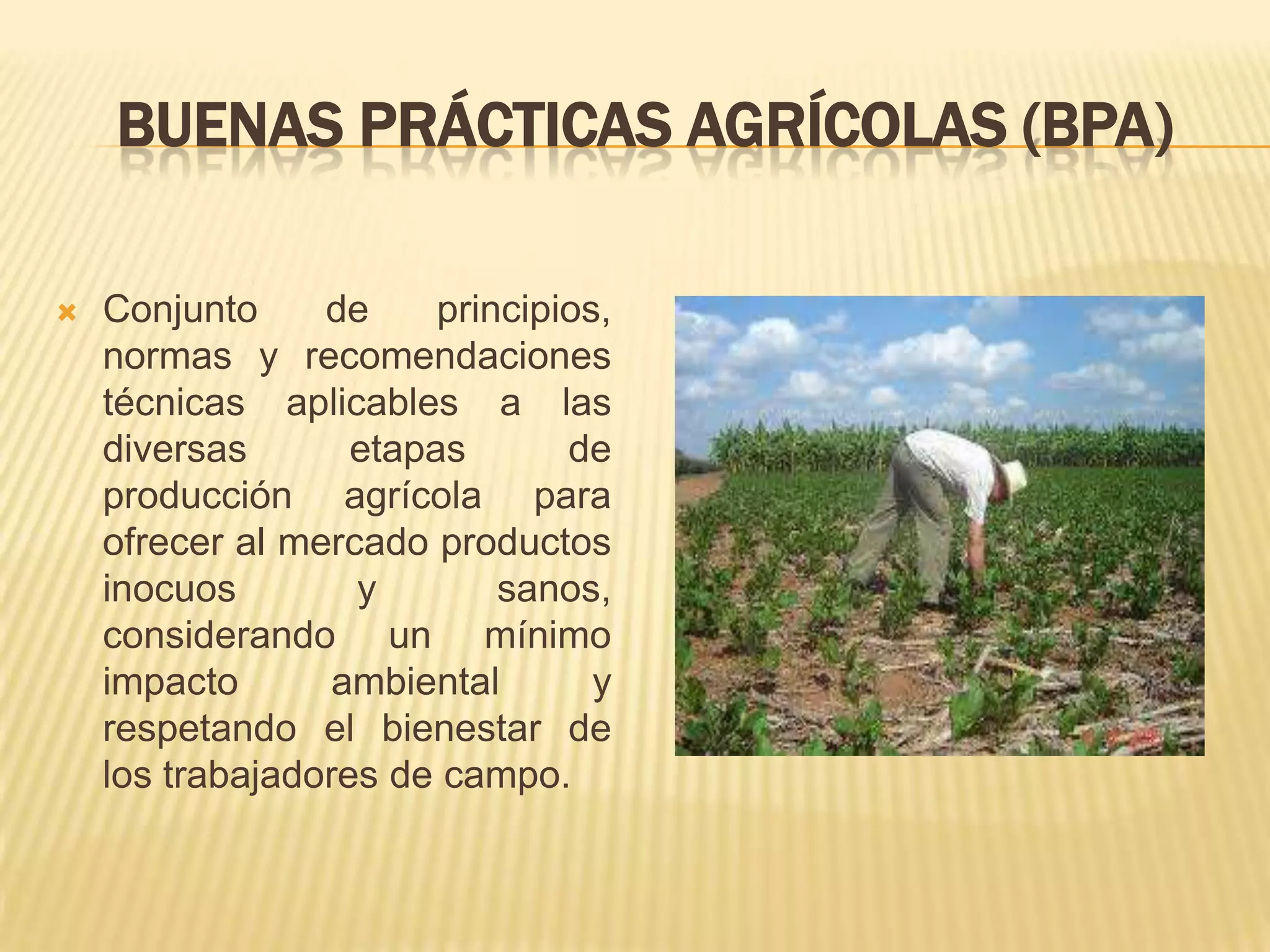 Buenas Practicas Agricolas Ppt