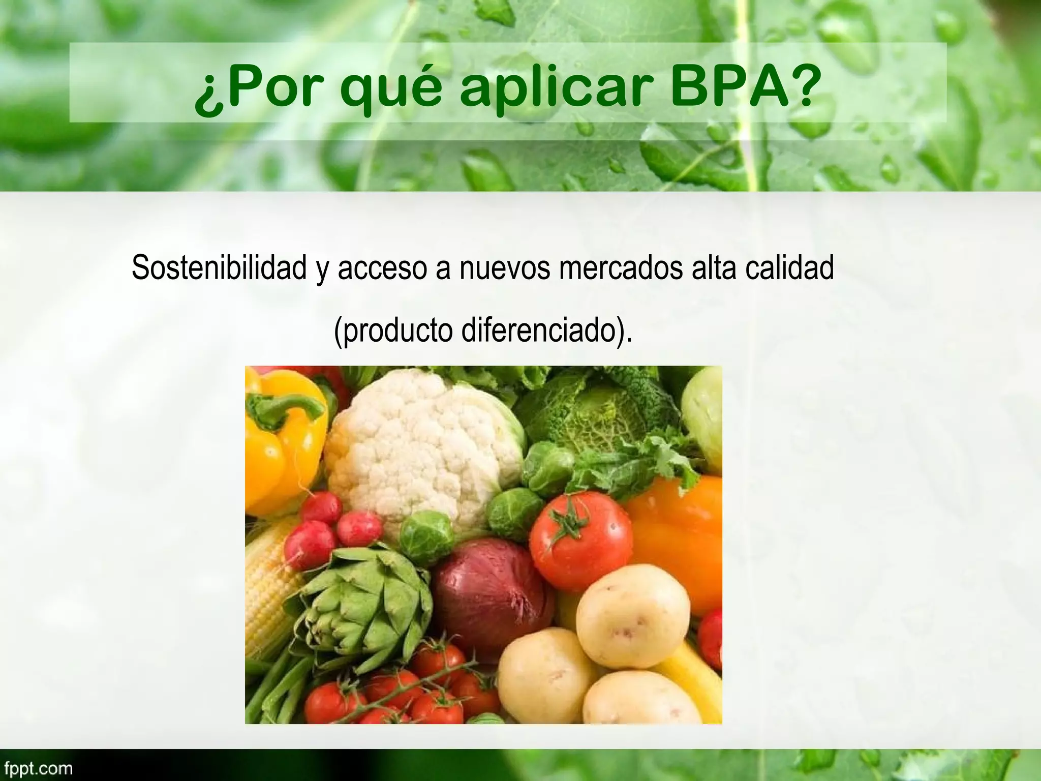 Buenas Practicas Agricolas Ppt