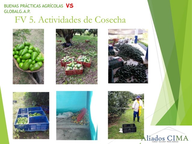 buenas practicas agricolas BPA para alimentos pptx | PPTX