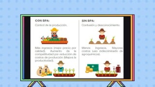 BPA Actividad.pptx buenas prácticas agroecológicas | PPTX