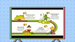 BPA Actividad.pptx buenas prácticas agroecológicas | PPTX