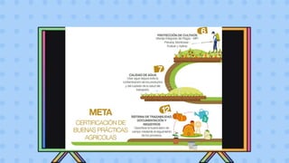 BPA Actividad.pptx buenas prácticas agroecológicas | PPTX