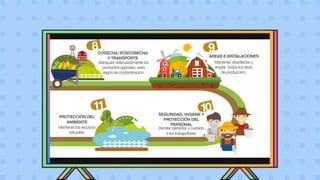 BPA Actividad.pptx buenas prácticas agroecológicas | PPTX