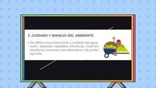 BPA Actividad.pptx buenas prácticas agroecológicas | PPTX