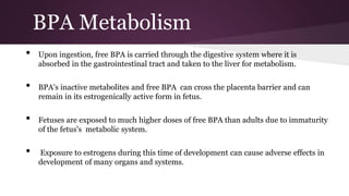 Bpa and fetal health outcomes group 2 final | PPTX