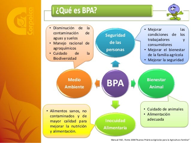 Bpa corpoica