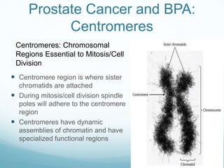 Bpa presentation | PPTX